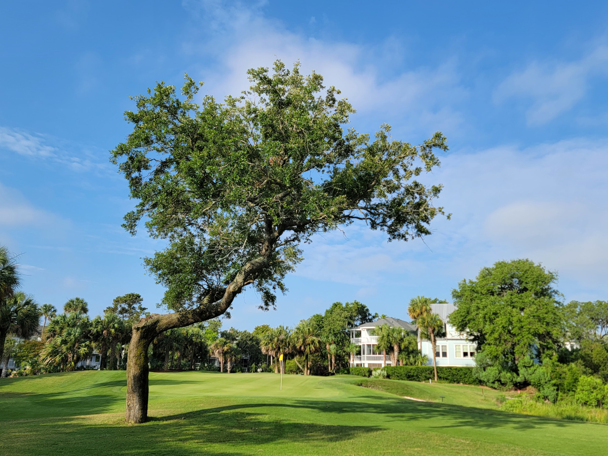 Wild Dunes: Charleston's Beach Resort - Southern Fairways